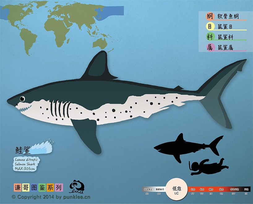 鼠鲨目 Lamniformes – 李墨谦绘馆 Li Moqian Painting Museum