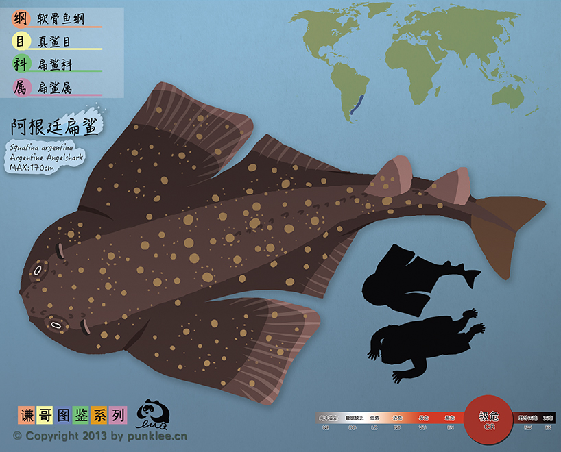 扁鲨目 Squatiniformes – 李墨谦绘馆 Li Moqian Painting Museum