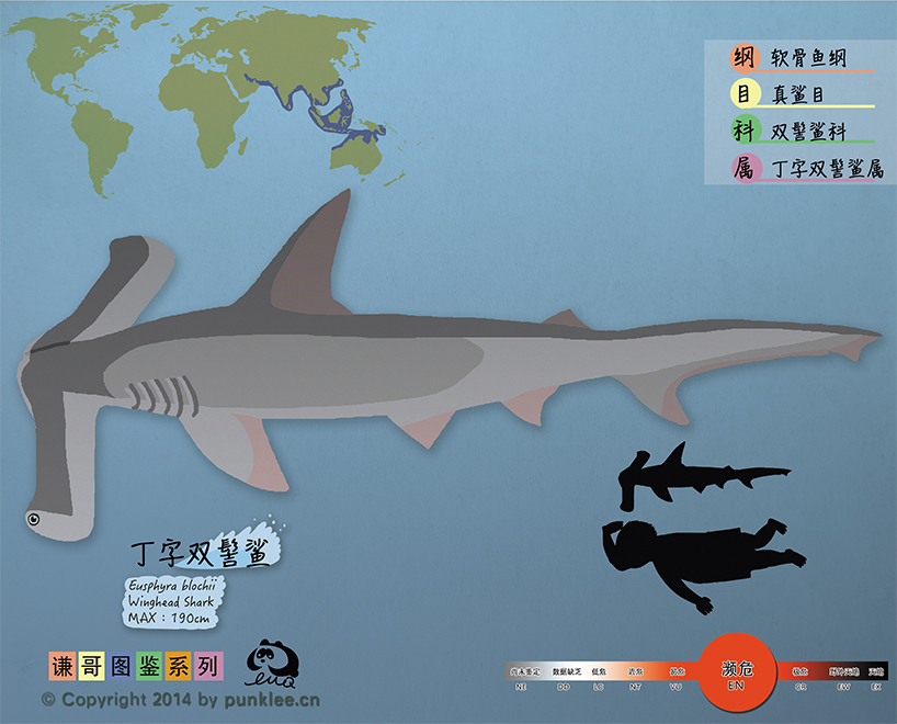 真鲨目·上 Carcharhiniformes·Part I – 李墨谦绘馆 Li Moqian Painting Museum