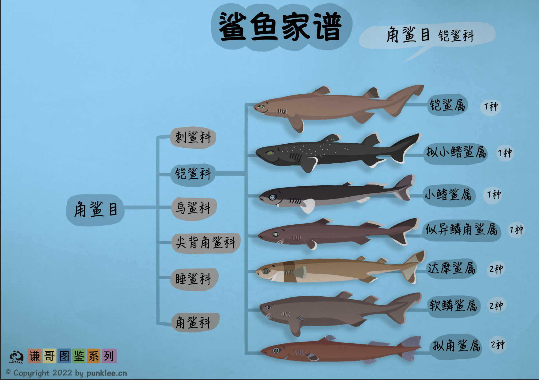 鲨鱼家谱 Family tree of sharks – 李墨谦绘馆 Li Moqian Painting Museum