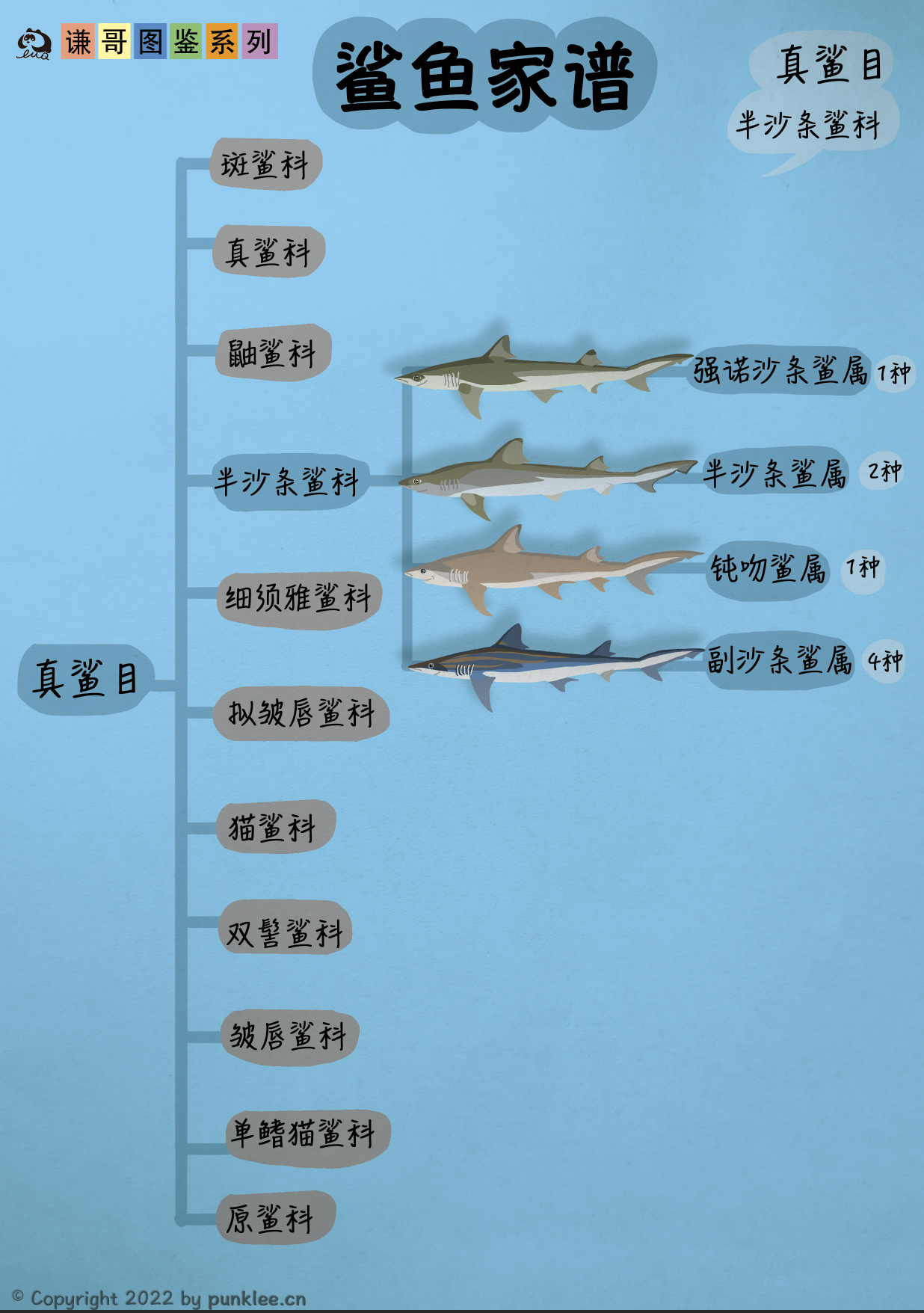 鲨鱼家谱 Family tree of sharks – 李墨谦绘馆 Li Moqian Painting Museum