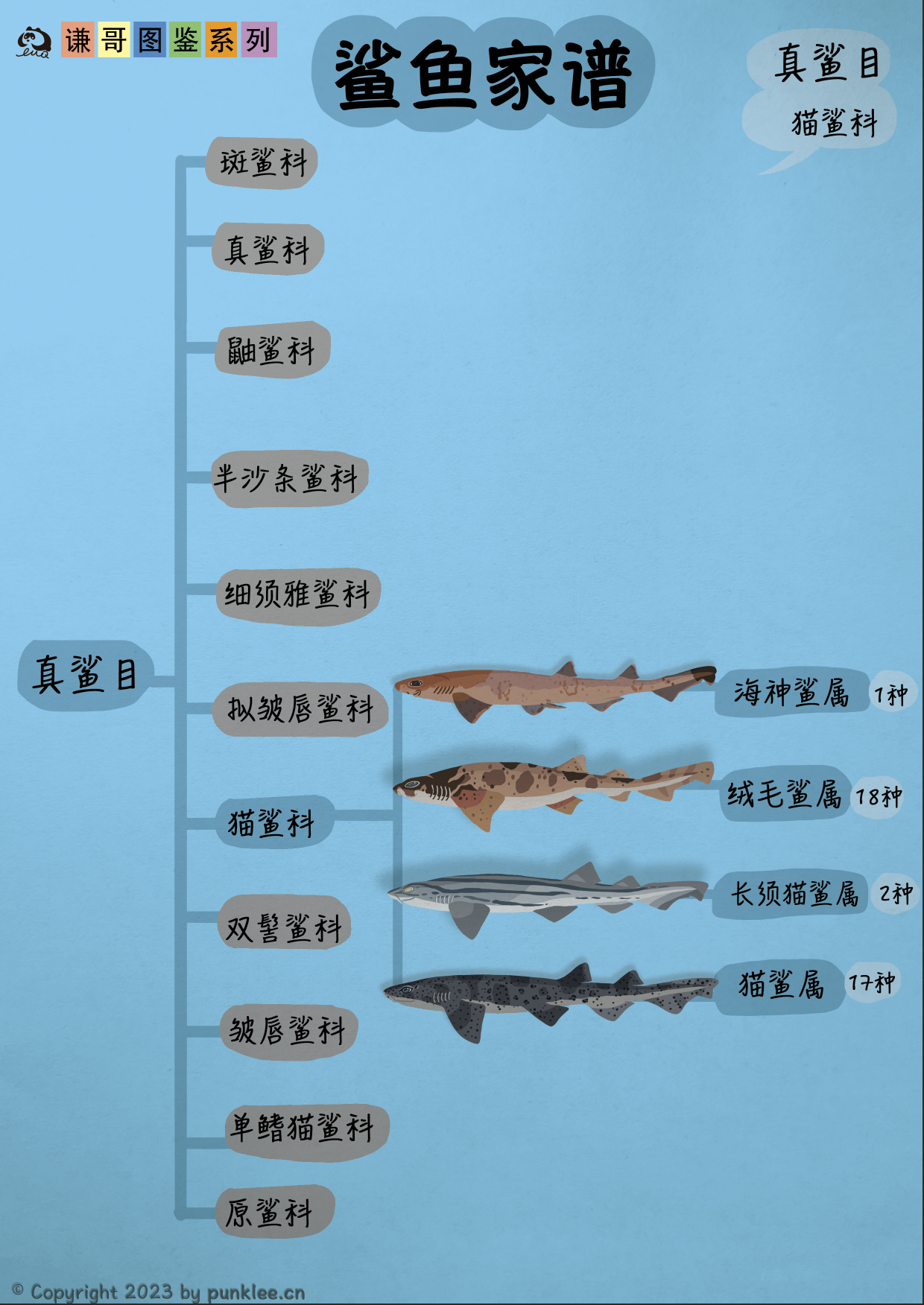 鲨鱼家谱 Family tree of sharks – 李墨谦绘馆 Li Moqian Painting Museum