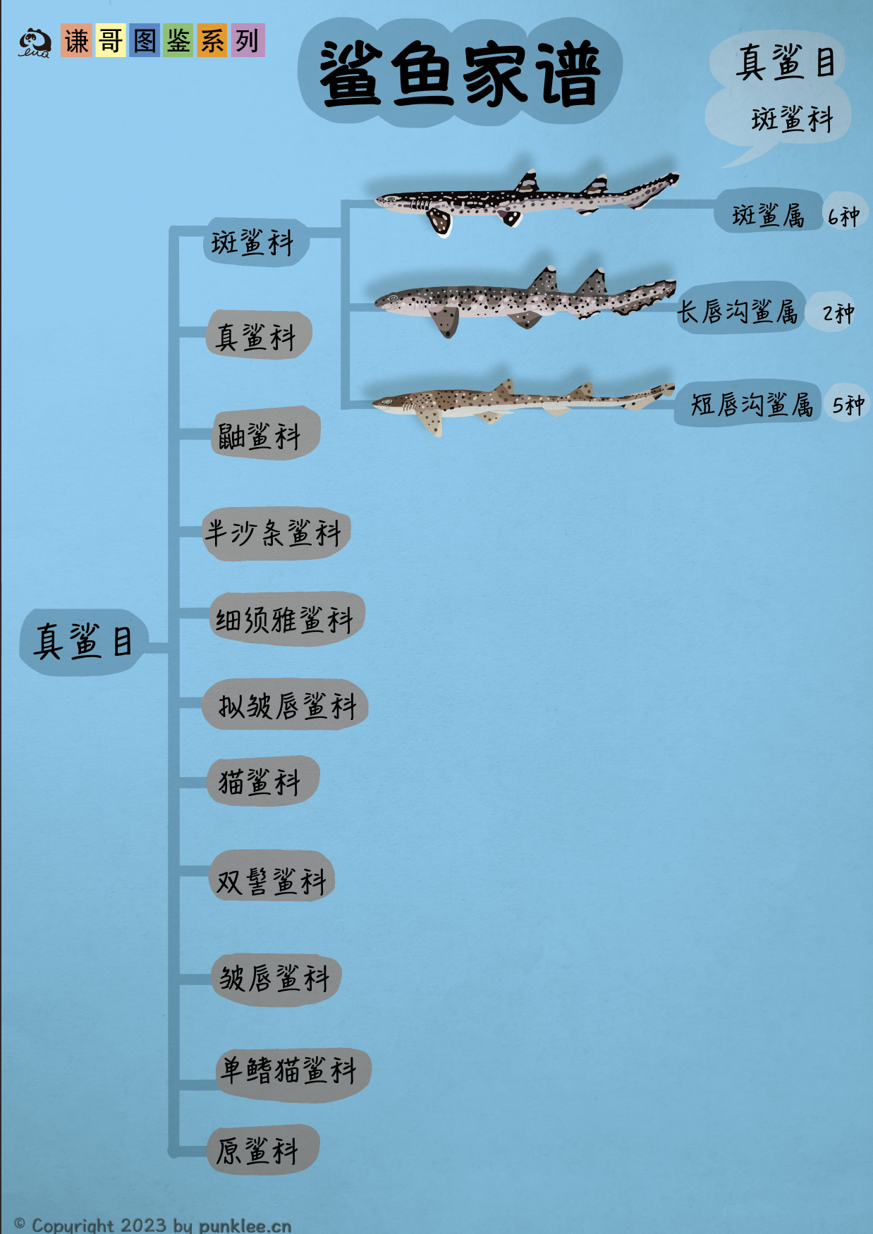 鲨鱼家谱 Family tree of sharks – 李墨谦绘馆 Li Moqian Painting Museum